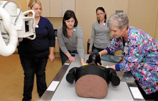 ASN degree | Distance Learning Systems (DLSI)